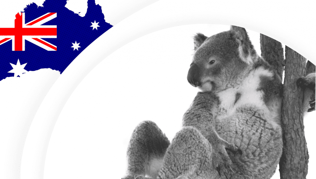 Everything you need to know about look-alike targeting - NT Technology