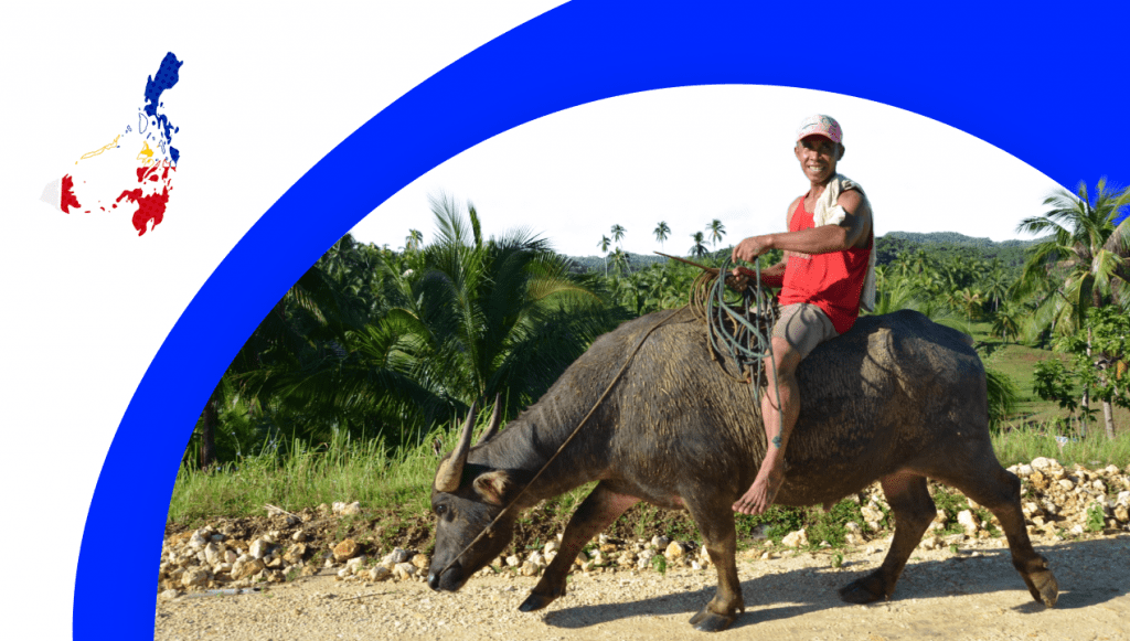 Programmatic in the United Arab Emirates - Blog NT Technology