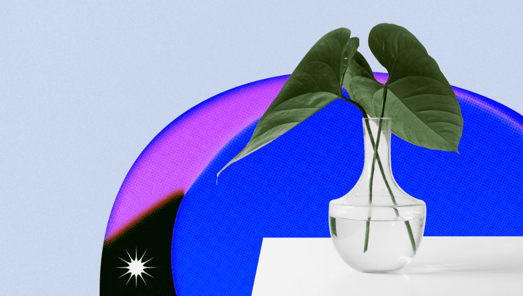 Programmatic платформа для рекламы вашего бизнеса — NT Technology