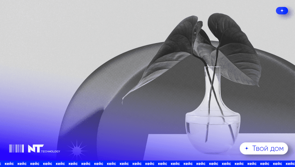 Заказать медийную рекламу Programmatic для вашего бизнеса | NT Technology